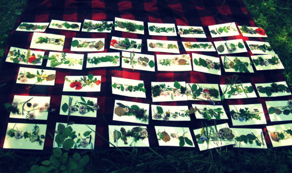 Tableau nature – Eveil et Nature