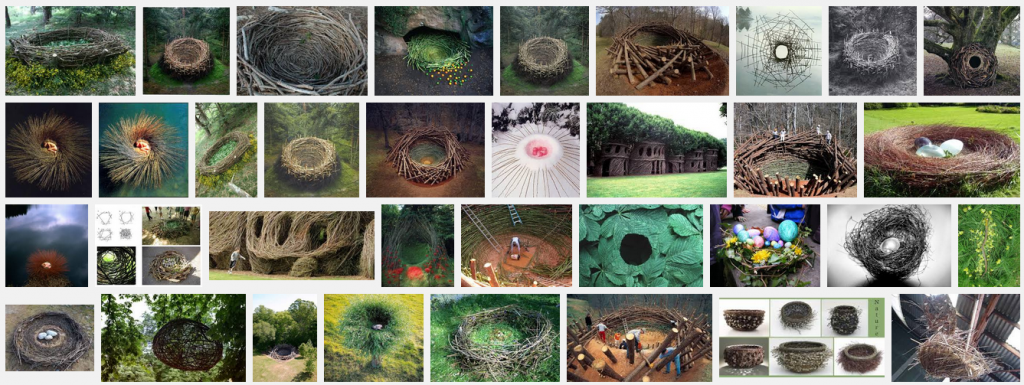 Nids d’oiseaux #2: 5 activités pour les découvrir – Eveil et Nature