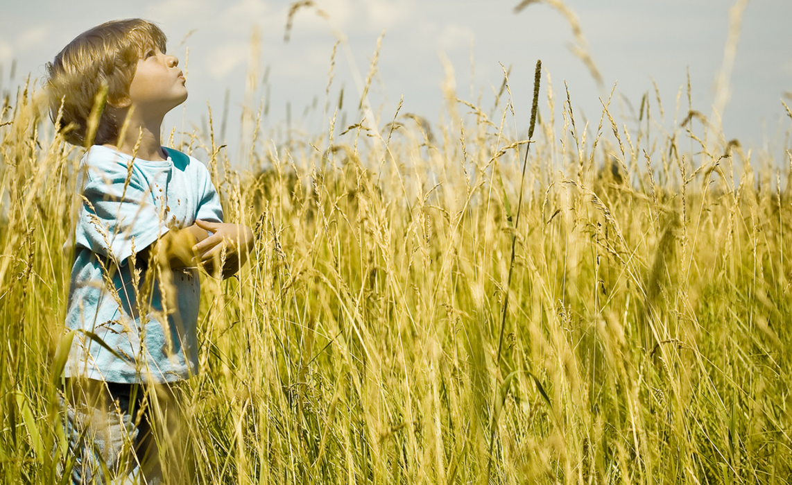 4 belles idées pour une rentrée sous le signe de la nature (1/2 ...