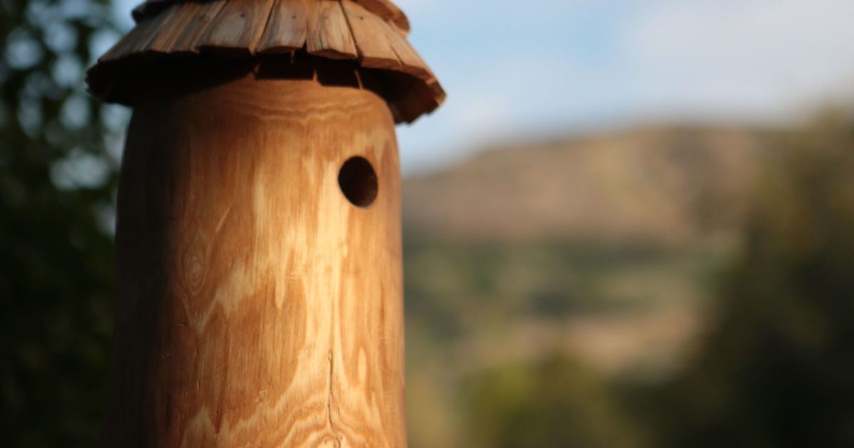 Nichoir mode d'emploi: fabriquer et poser son premier nichoir