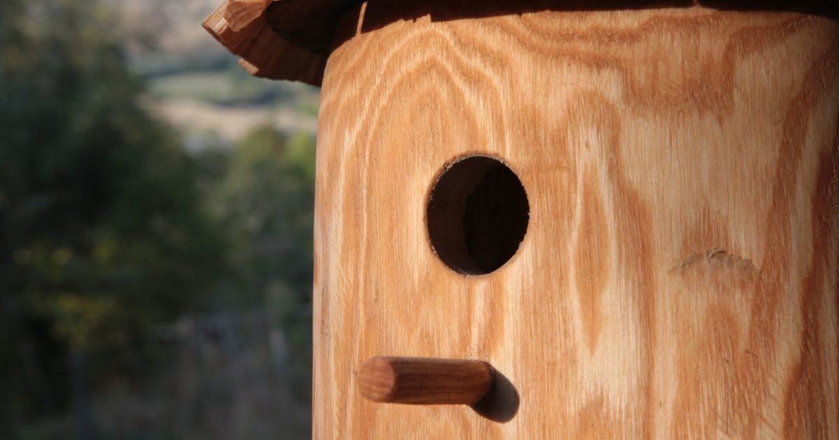 Nichoir mode d'emploi: fabriquer et poser son premier nichoir