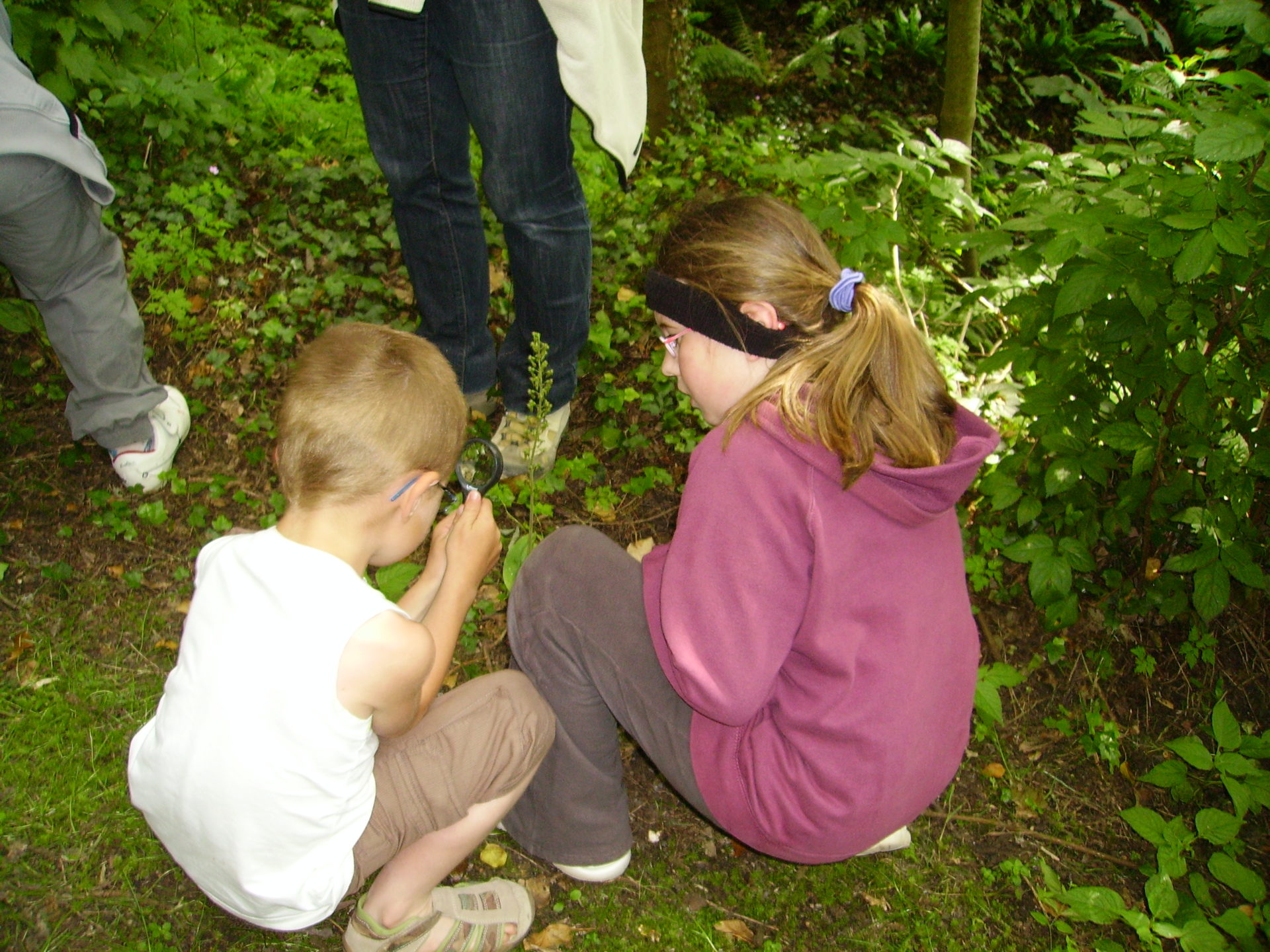 Vos explorations nature avec les enfants: toutes les photos sont ici ...