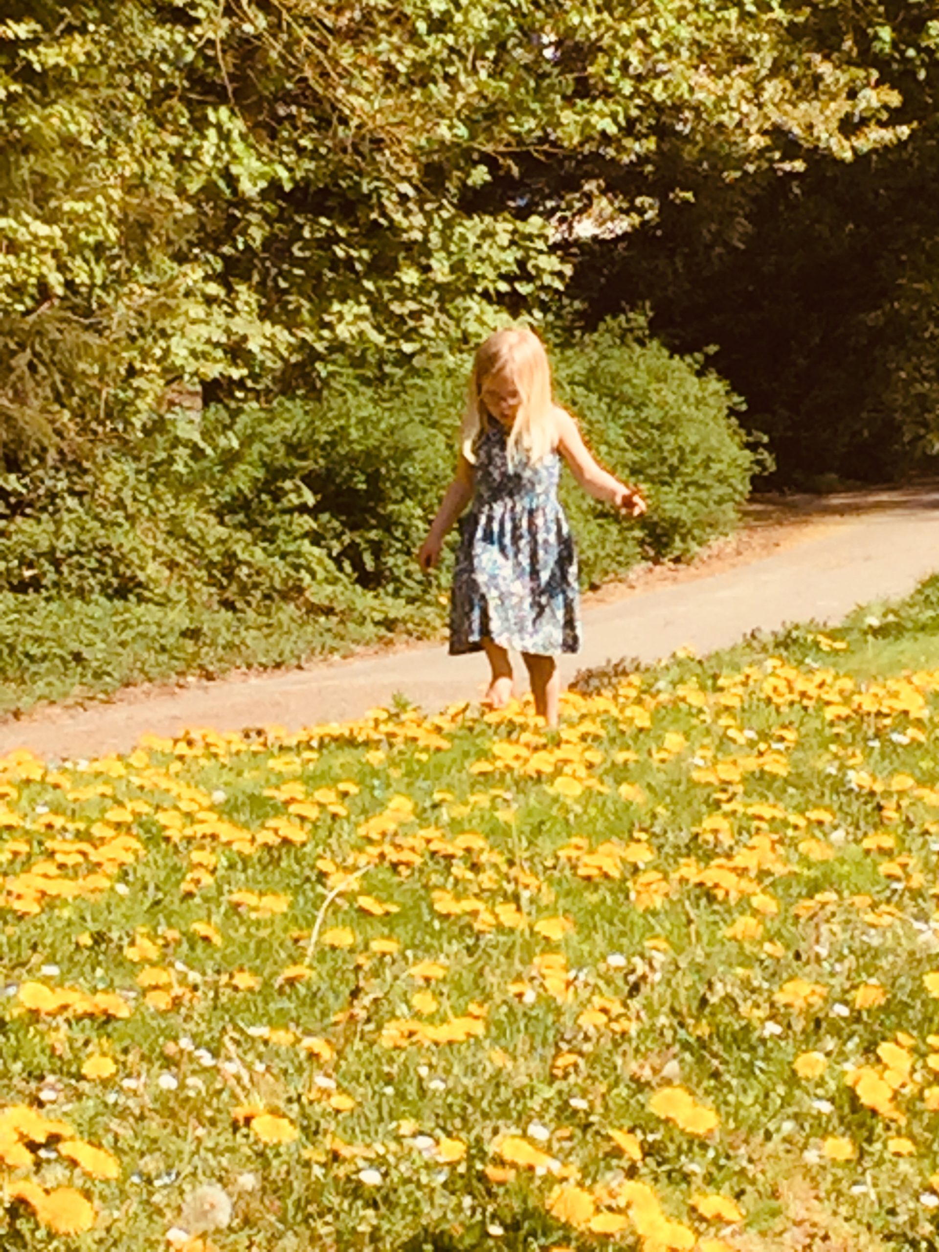 Vos explorations nature avec les enfants: toutes les photos sont ici ...