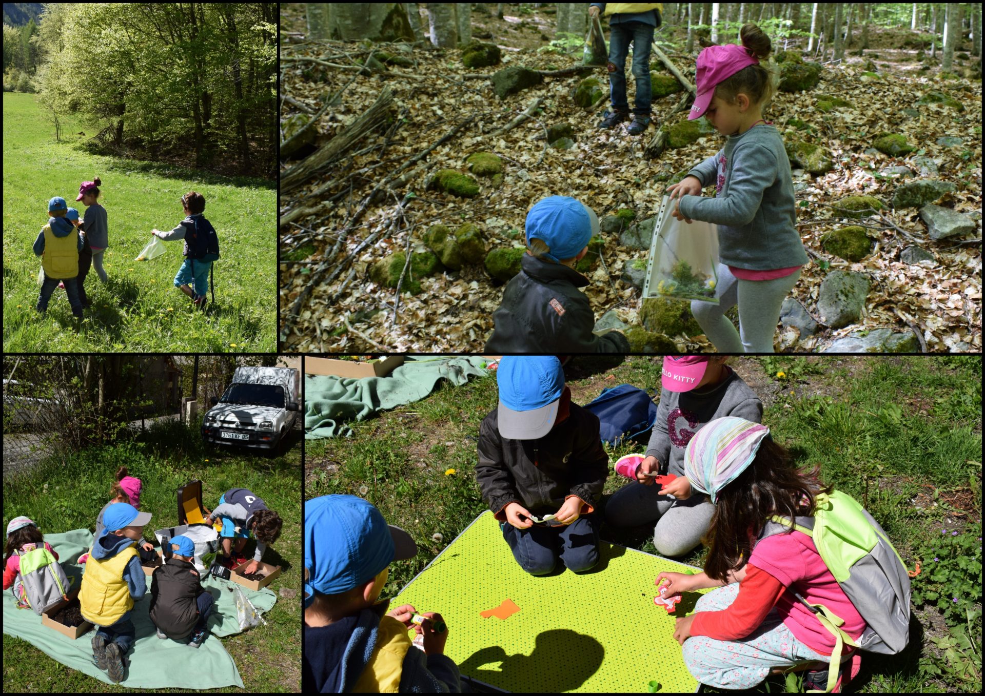 Vos explorations nature avec les enfants: toutes les photos sont ici ...