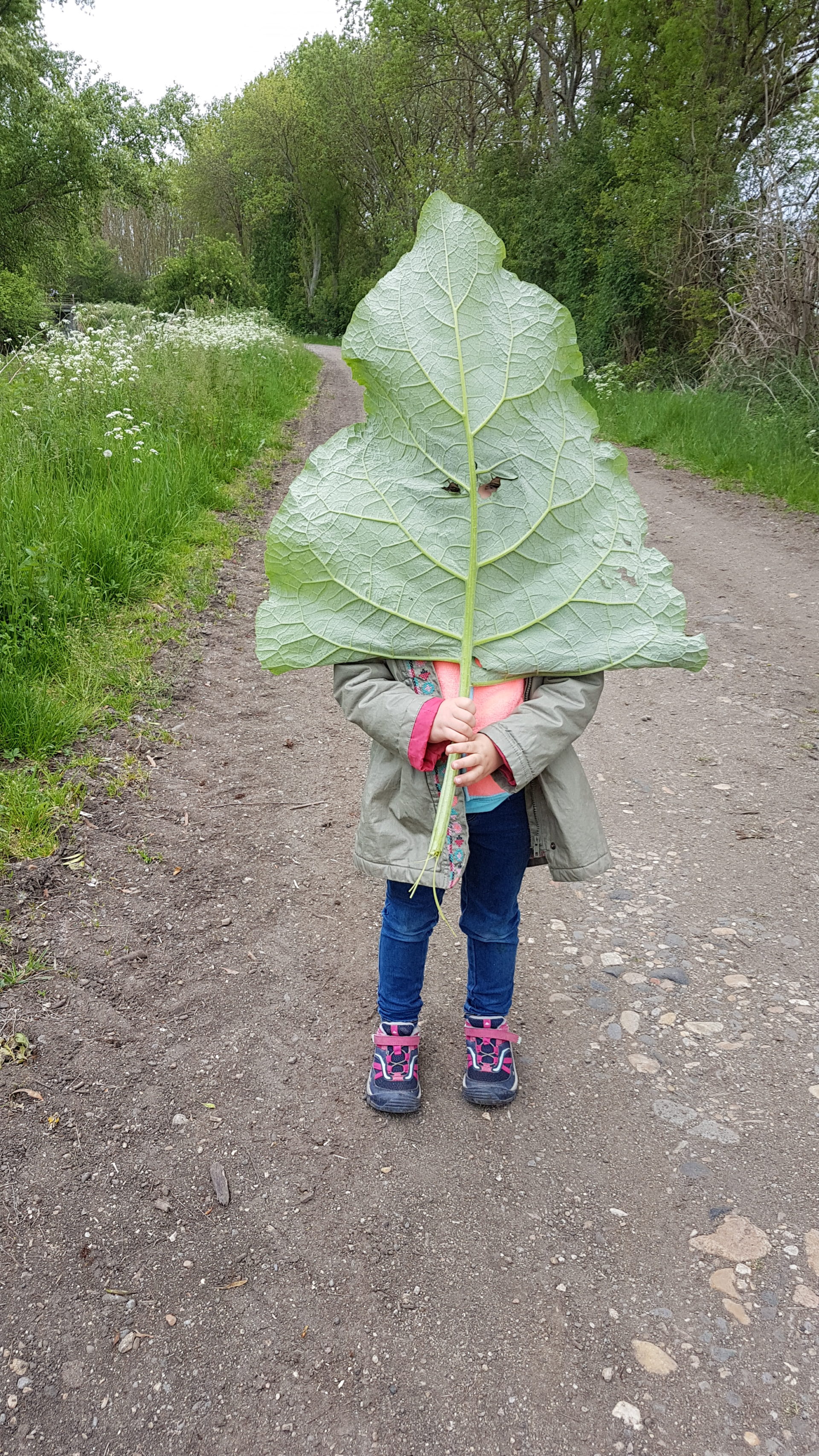 Vos explorations nature avec les enfants: toutes les photos sont ici ...